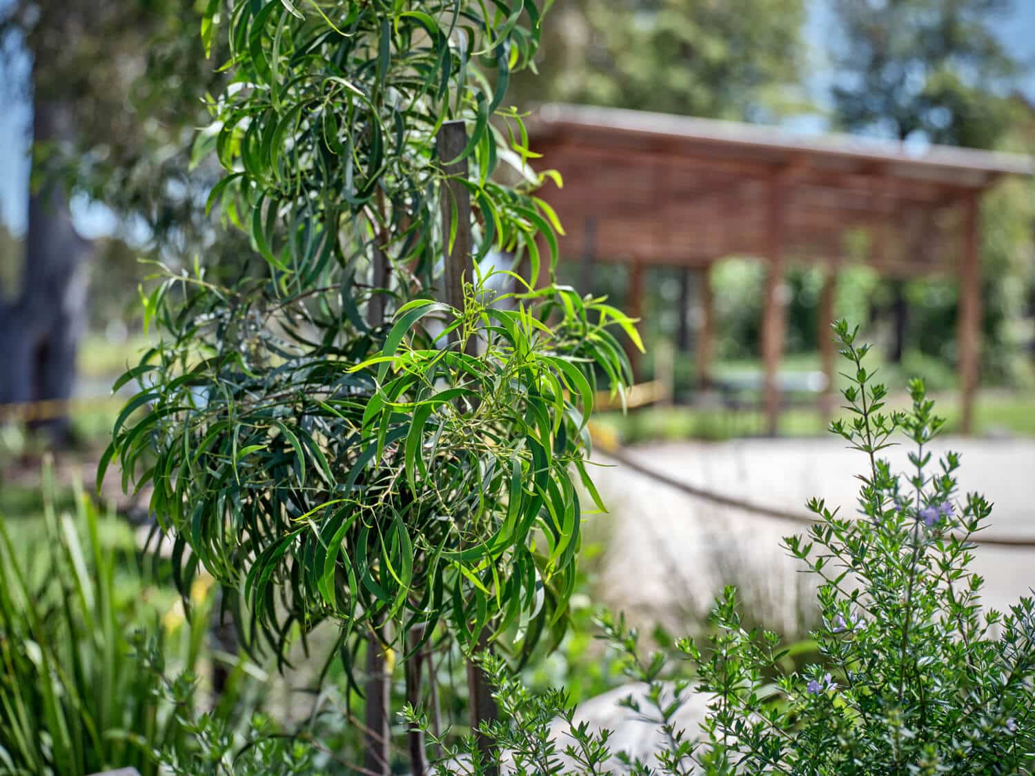 Our Capabilities - Package Landscapes